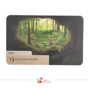 Forêt Mixte : Test, avis et conseils pour jouer.