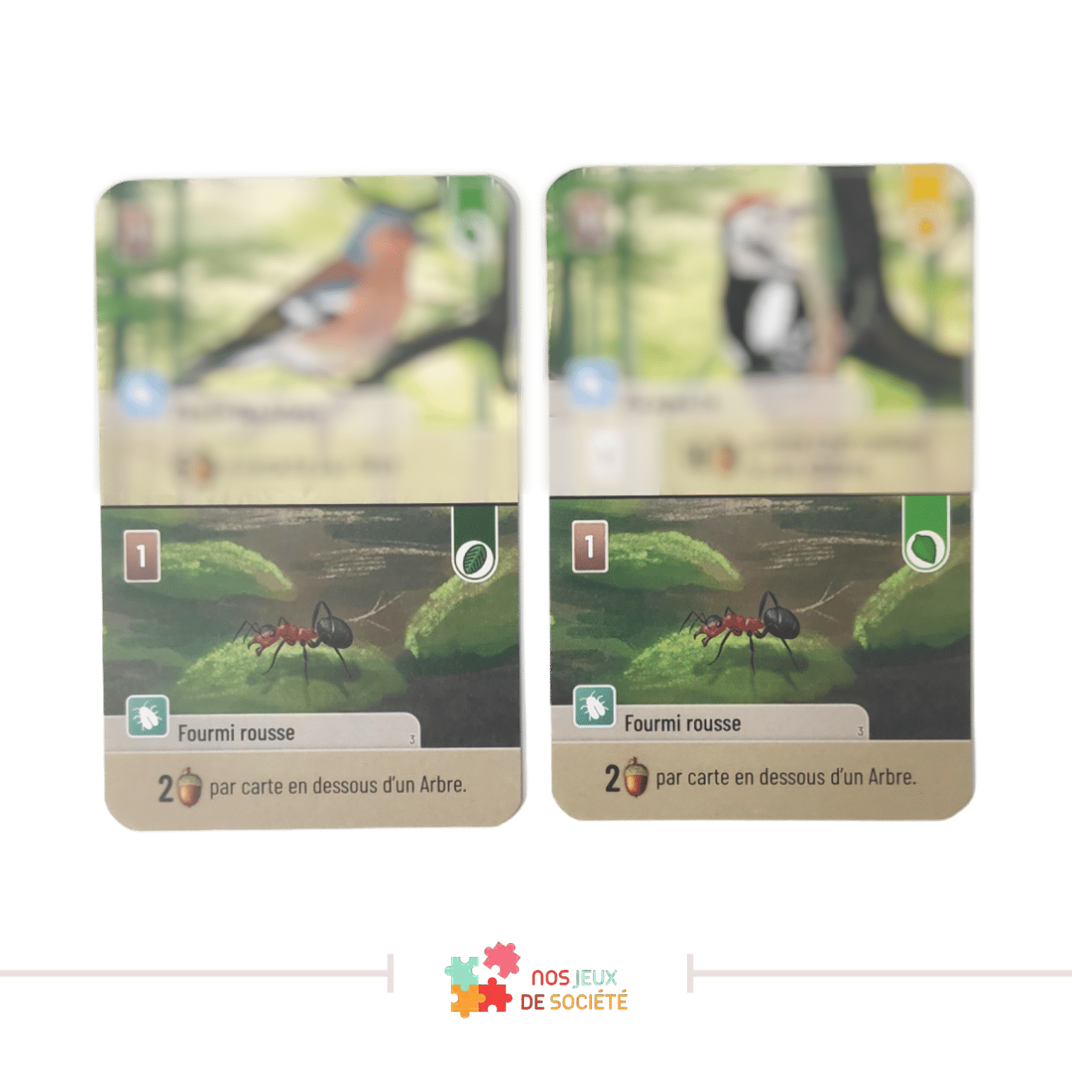 Forêt Mixte : Test, avis et conseils pour jouer.