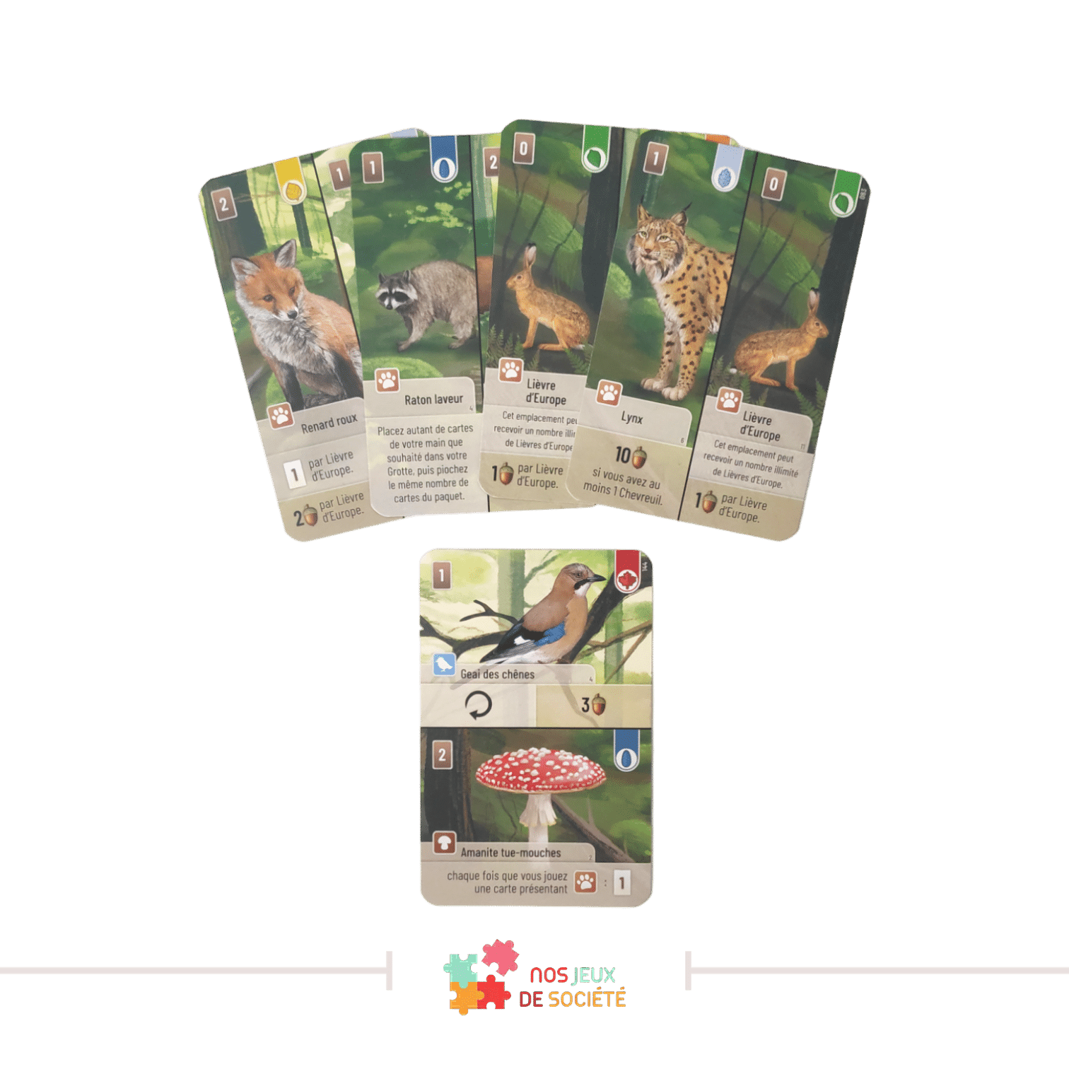 Forêt Mixte : Test, avis et conseils pour jouer.