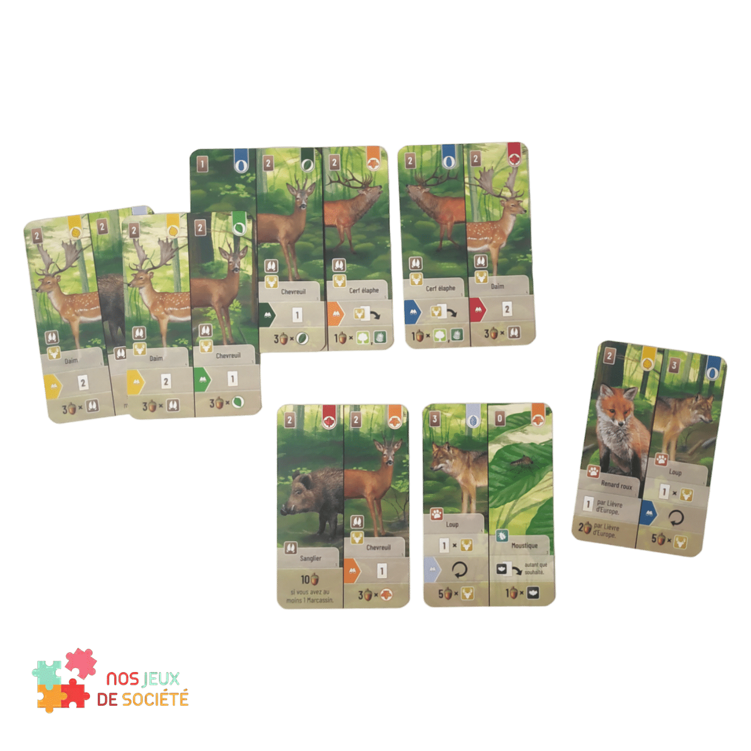 Forêt Mixte : Test, avis et conseils pour jouer.