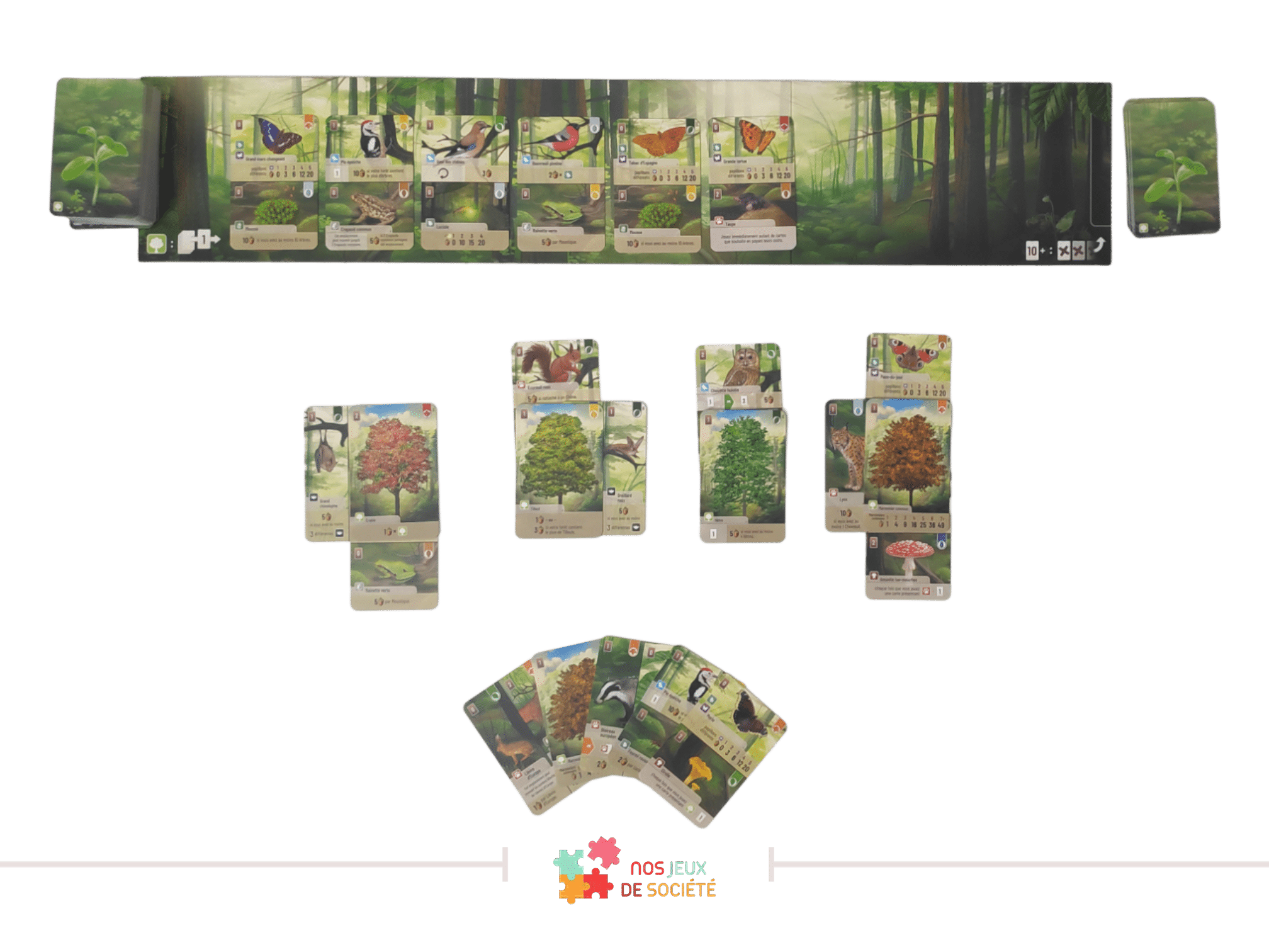 Forêt Mixte : Test, avis et conseils pour jouer.